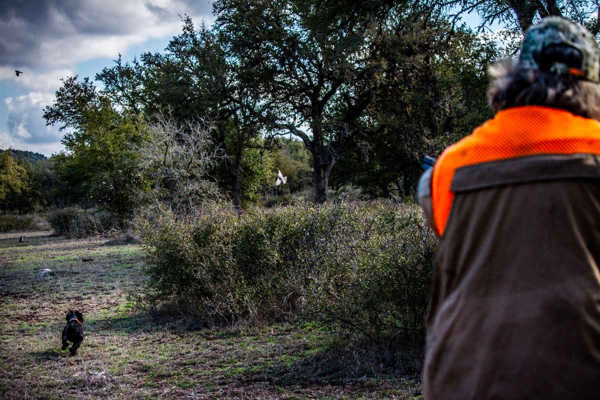 South Texas Quail Hunts | Guided Texas Quail Hunting Hill Country